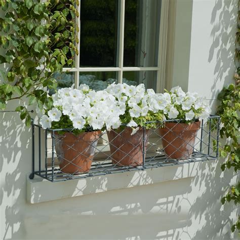 Wrought Iron Window Boxes At Elijah Topp Blog