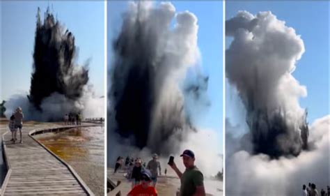 Yellowstone National Park Visitors Taken By Surprise By The