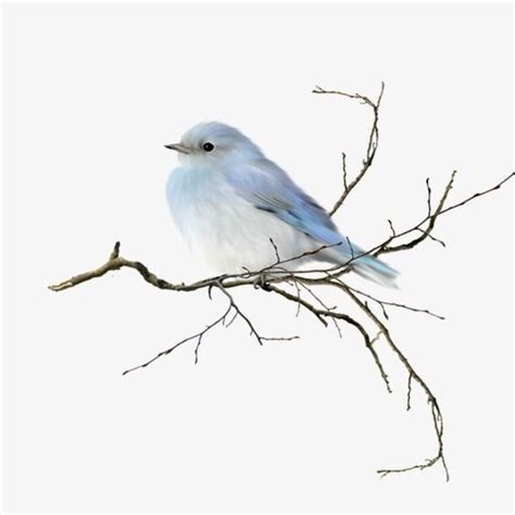 Вышитые птички невелички Идеи и схемы Кладовая рукодельницы Дзен