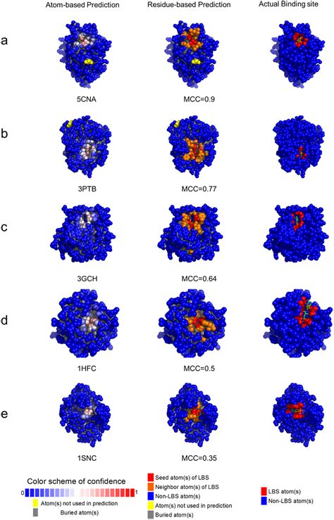 Examples Of Ligand Binding Site Predictions In S48b Testing Set Panels Download Scientific