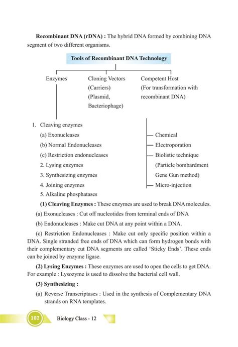 Biotechnology Principles And Processes Notes For Class 12 Biology Pdf Oneedu24
