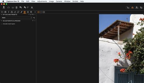 How To Use Capture One Styles In Capture One Pro 10 Filtergrade