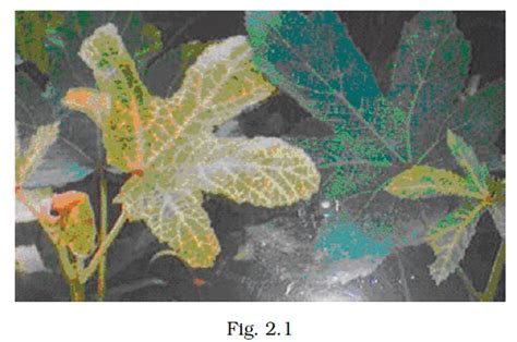NCERT Exemplar Class Science Solutions Chapter Microorganisms Friend And Foe