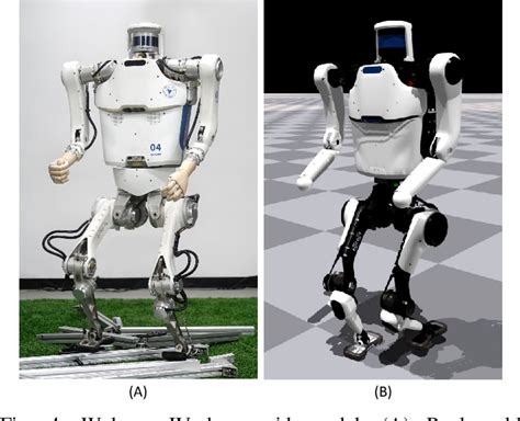 Toward Understanding Key Estimation In Learning Robust Humanoid