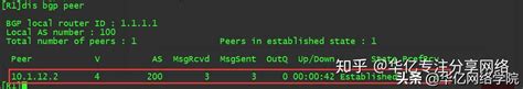 大型网络bgp之ibgp和ebgp邻居关系基础配置 知乎