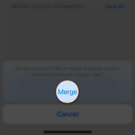 How To Merge Duplicate Contacts On Apple IPhone Pro