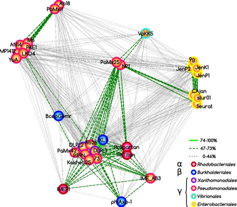 Network Representing The Association Among The Compared Genomes Nodes