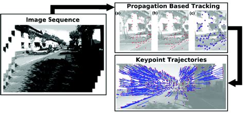 system steps modules from sequence of images to propagation based