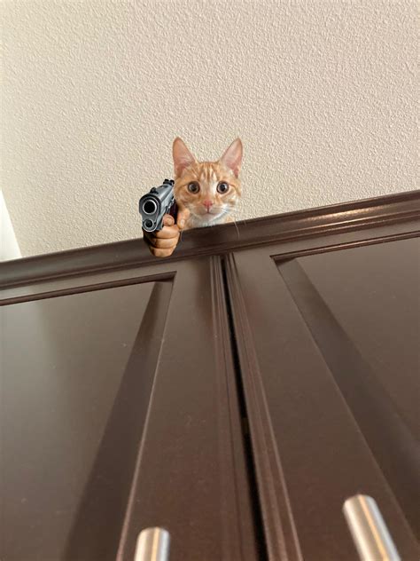 Pov Jcatt R Jschlatt