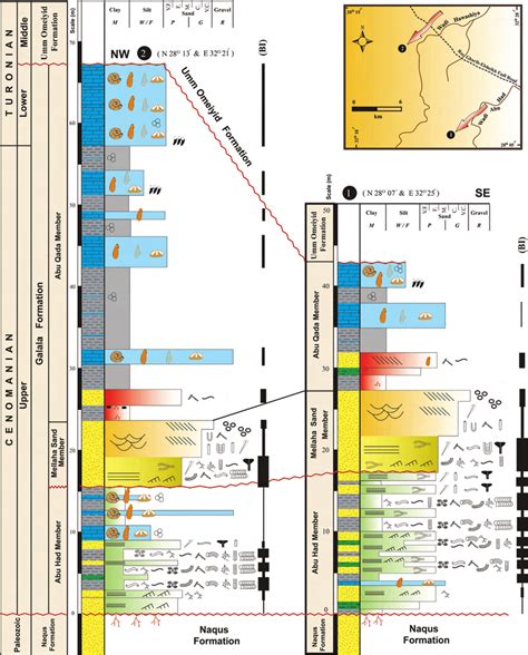 Fossil Correlation Chart