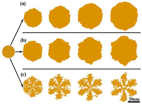 Snapshots Illustrating The Shape Evolution From The Initial Circular