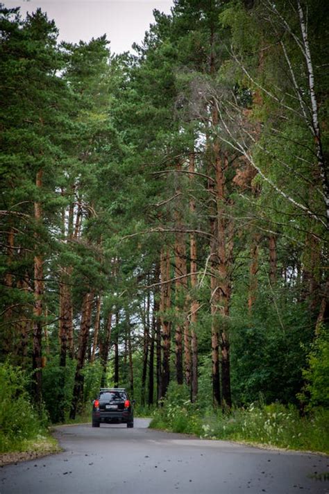 Vsco 가벼운 가을 거리 거리 사진 경치 광야 교통체계 긴 길 길가 나무 나무 숲 나무와 함께 나뭇잎 대도시 대자연 도로 도로 교차로 도시