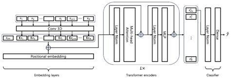network architecture for vivit which consists of embedding layers