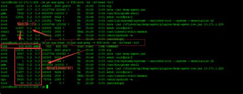 Linux下查看占用cpu与内存最高的进程 古语云 博客园