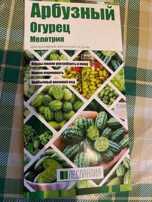 Мелотрия Лесландия Арбузный огурец Мелотрия, 20 шт - купить по выгодным ...
