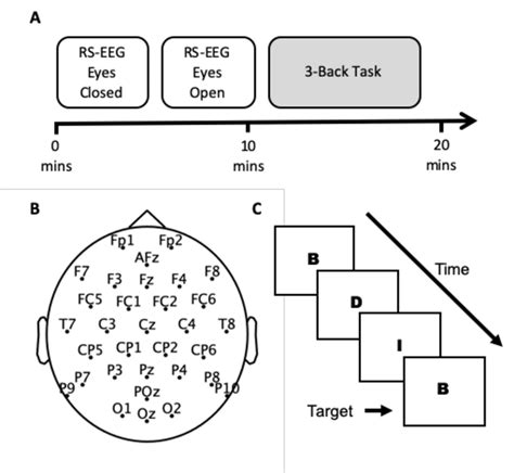 Experiment Details A Illustration Of The EEG Protocol And Timeline Download Scientific