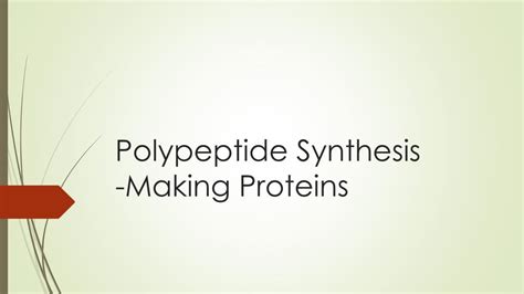 Ppt Polypeptide Synthesis Making Proteins Powerpoint Presentation Free Download Id 2380704