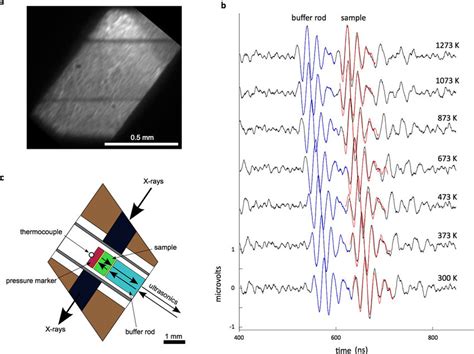 Exemplar Radiographic Image Ultrasonic Data And Schematic Of The Download Scientific Diagram