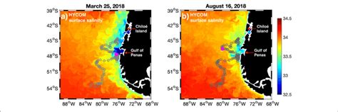 Maps Of Surface Salinity From Hycom Global Model On A March 25