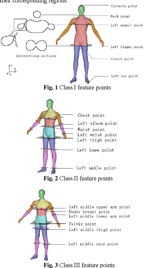 Figure 1 From Automatically Constructing Skeletons And Parametric Structures For Polygonal Human