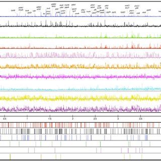 ChIP Seq And ChIP Chip Data Used In This Study The Tracks Are From Download Scientific