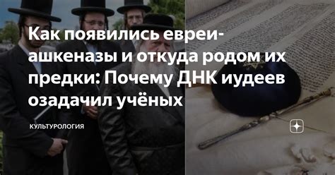 Как появились евреи ашкеназы и откуда родом их предки Почему ДНК