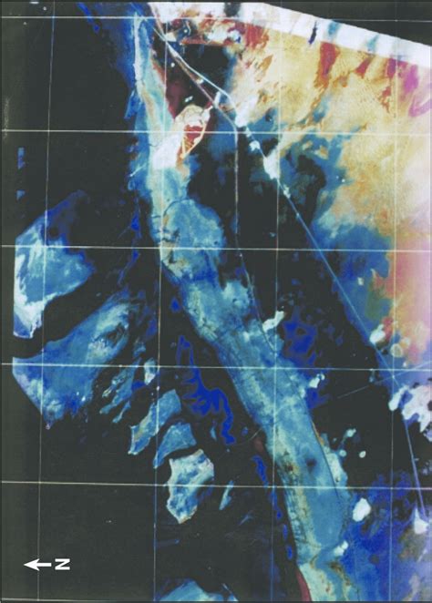 A Combined Landsat Tm And Spot Panchromatic Satellite Image Of The Area Download Scientific