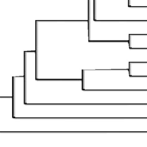 dendrogram based on the similarity matrix and showing clustering of
