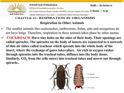 Class 7 Chapter 10 Ppt 2 Ppt