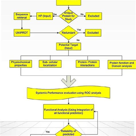 Flowchart Showing The Computational Framework Used For Annotating