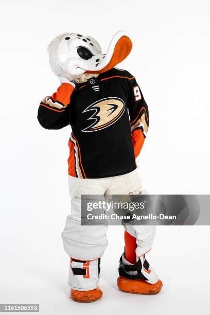 Nhl Mascots Photos And Premium High Res Pictures Getty Images