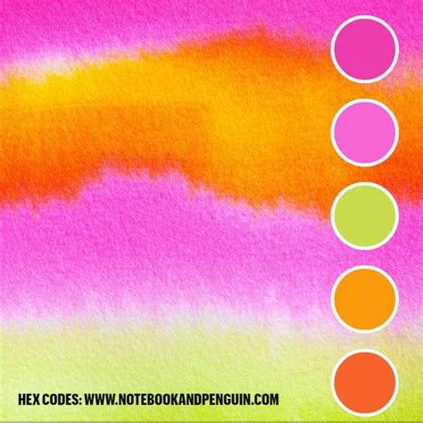 8 Bold Hot Pink Color Palettes With Hex Codes For Modern Designs