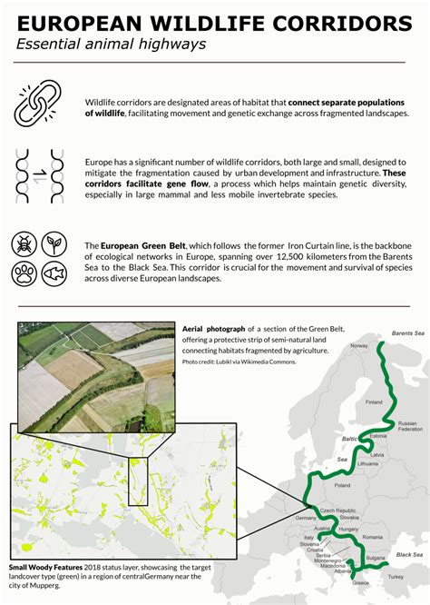 Reversing Biodiversity Loss With Aid From Space — Copernicus Land