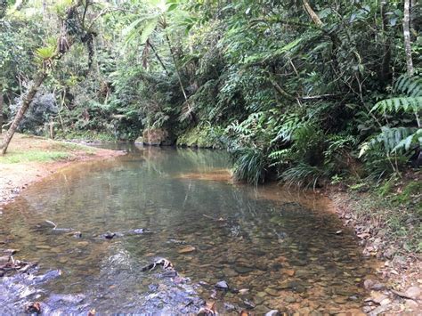 Charco Azul Patillas Fresh Water Natural Pool Puerto Rico Travel Guide