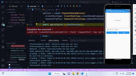 hosting view in view hierarchy for platform view 0 [bug] · issue 112