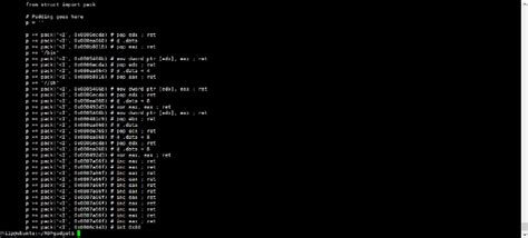 Rop和rop2的题目的wpropwp Csdn博客