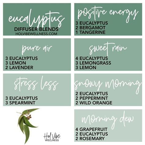 Eucalyptus Essential Oil Diffuser Blends For Hair And Body