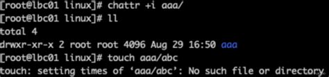 Linux中各种命令的常用方法linux打开文件命令 Csdn博客