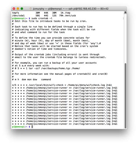 extra service runner commands in crontab part ii emonpi
