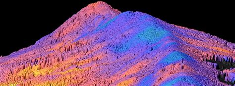 Mapping Functional Diversity Of Forests With Remote Sensing The Watchers