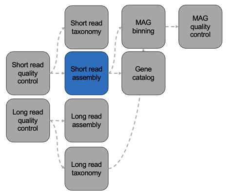 Short Read Assembly — The Metasub Camp 0 1 Documentation