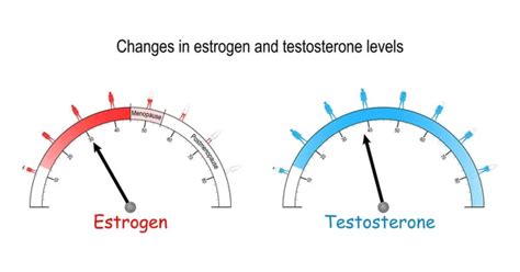 Sex Meter Vector Art Stock Images Depositphotos