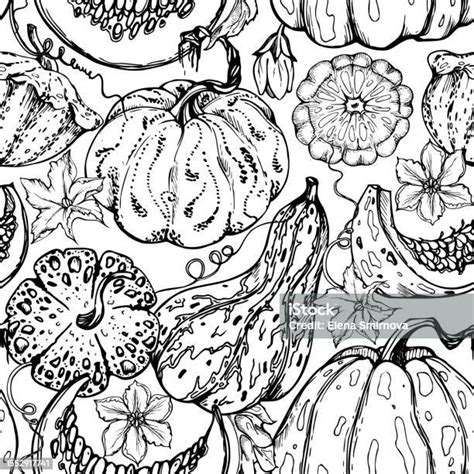 손으로 그린 잉크 벡터 호박 조롱박 스쿼시 꽃과 덩굴 추수감사절 수확 농사를 위한 스케치 일러스트레이션 아트 원활한 패턴