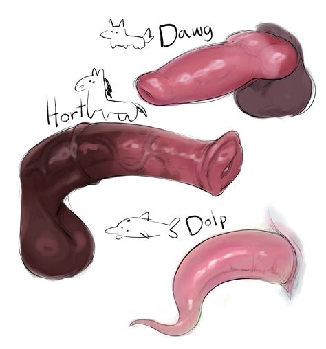 Rule 34 Animal Genitalia Animal Penis Big Penis Canid Canine Canine