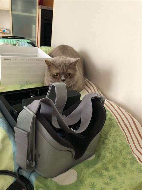 Preprocessing Mri In Python There Are A Couple Of Tricks That Ive