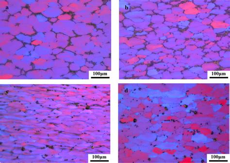 Optical Microstructures Of The Specimens Under Different Conditions