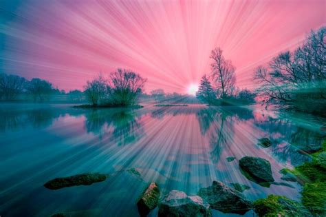 premium photo reflection of trees in water