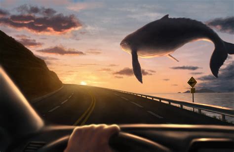 Artstation Beware Of Whales
