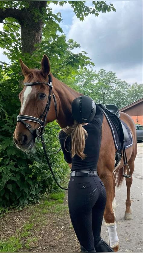 Pin Von Leonor Ramos Auf 2025 Pferdefotos Reiten Englisches Reiten