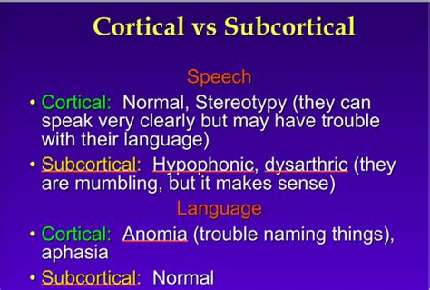 2 18 Approach To The Dementia Patient And AD Flashcards Quizlet